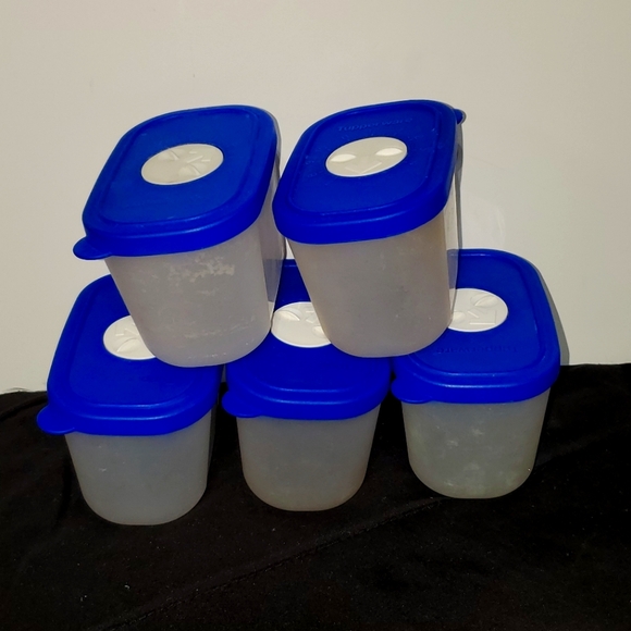 Tupperware | Kitchen | Set Of 5 Vintage Tupperware Freezer Mate ...